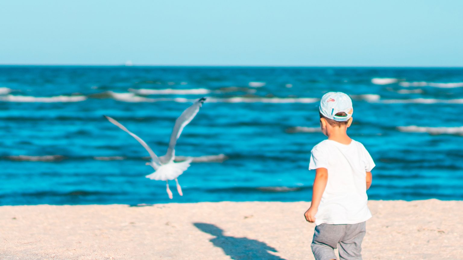 Freedom Credit Union | Massachusetts | Freedom is Yours