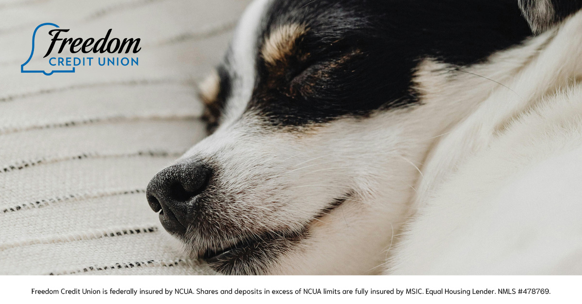 Supporting Two Pioneer Valley Animal Shelters | FCU